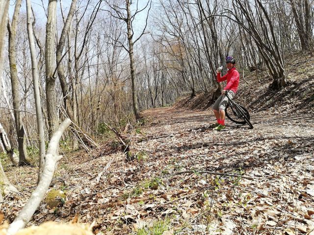 MERIDA SILEX400 をお安く出してます【1台のみ】: DayDownBicycles -長野市 川中島-