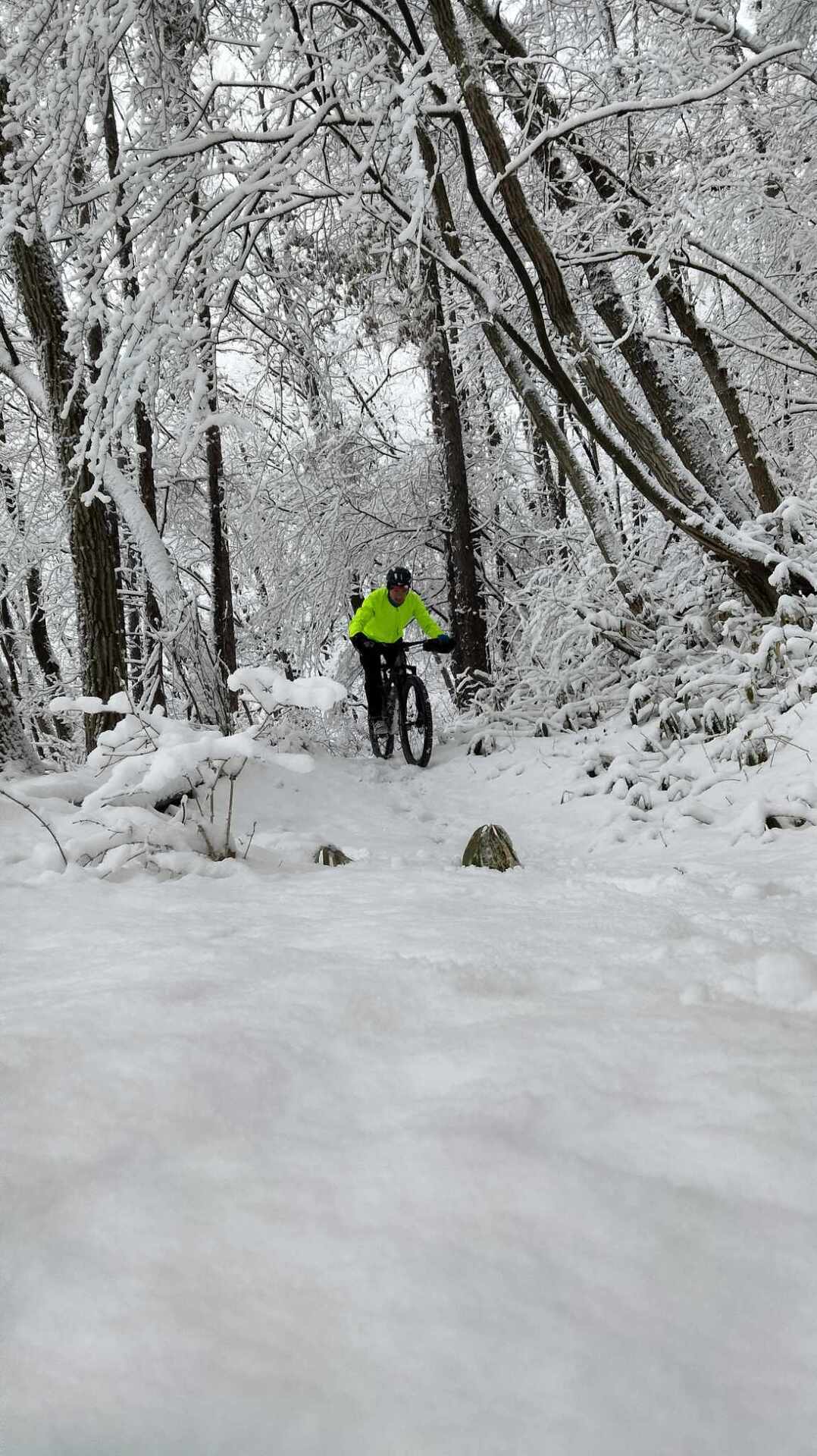 春分の日を超えて..: DayDownBicycles -長野市 川中島-
